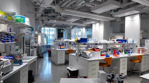 Home | Harvard Environmental Health and Safety